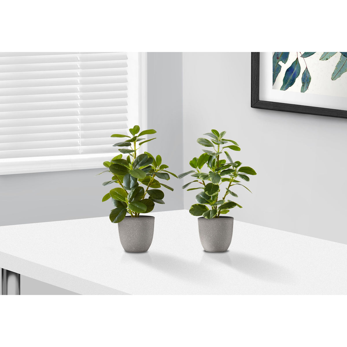 Ficus Plant (Set of 2) | Dufresne Furniture and Appliances
